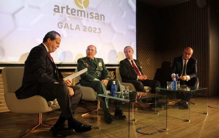 Inicio - Fundación Artemisan